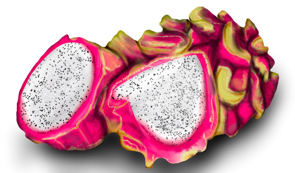 Propiedades y Beneficios de la Pitahaya – Iberopitaya